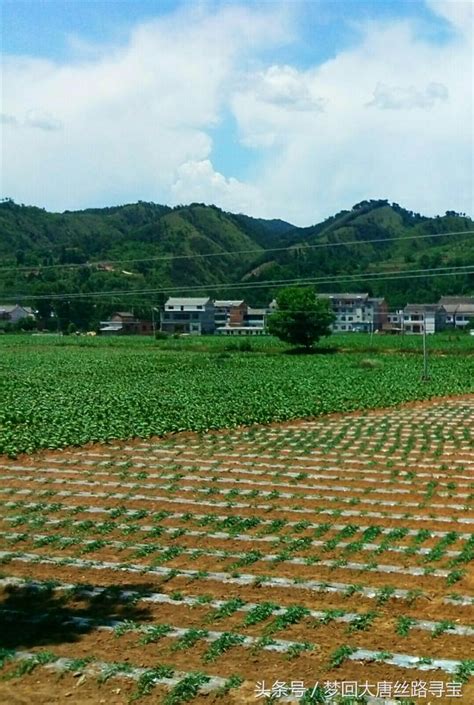 踏上故鄉路青山綠水畫中游原創 每日頭條