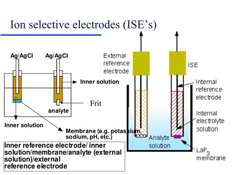 Ion Selective Electrode Principle At Donna Bull Blog