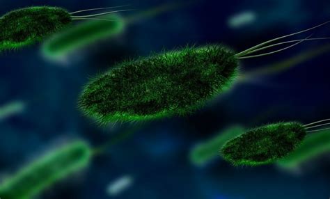 Differential Diagnosis Of Pyomyositis Cellulitis Deep Vein Thrombosis And Necrotising
