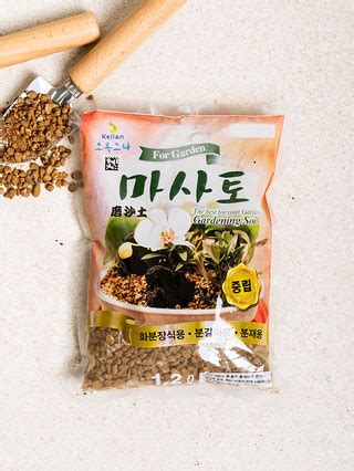 다이소 원예용품 인기제품 Top 5