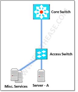 Top Local Area Network LAN Interview Questions IP With Ease
