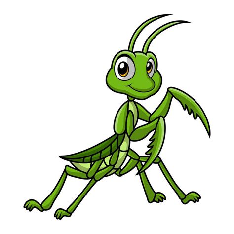 Cute Mantis Cartoon On White Background 35086466 Vector Art At Vecteezy