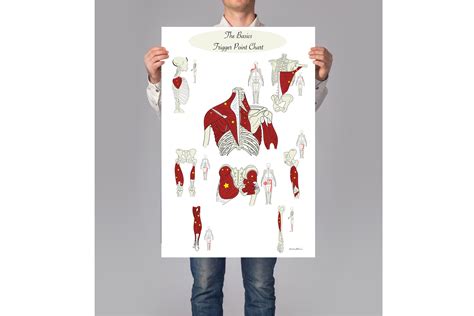 The Basics Trigger Point Chart Muscle Anatomy Art Chiropractic Massage Therapist