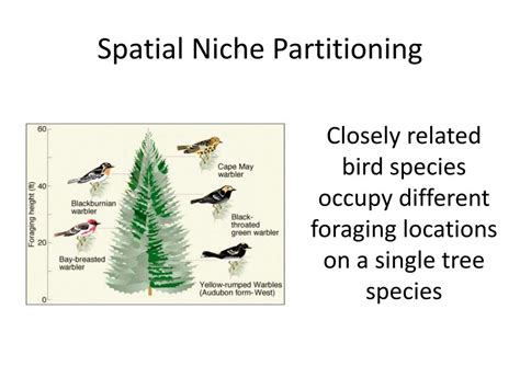 Ppt Community Interactions The Niche Concept And Symbiotic Relationships Powerpoint