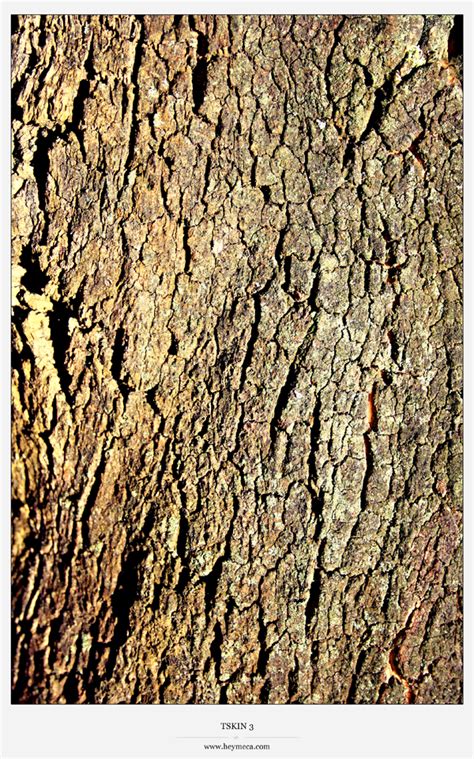 Texture Thursday Tree Skin PSDFan