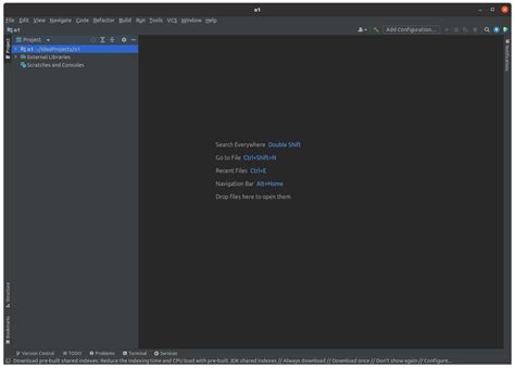 Installing Intellij O1 A
