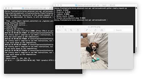 A Scalable Keras Deep Learning Rest Api Pyimagesearch