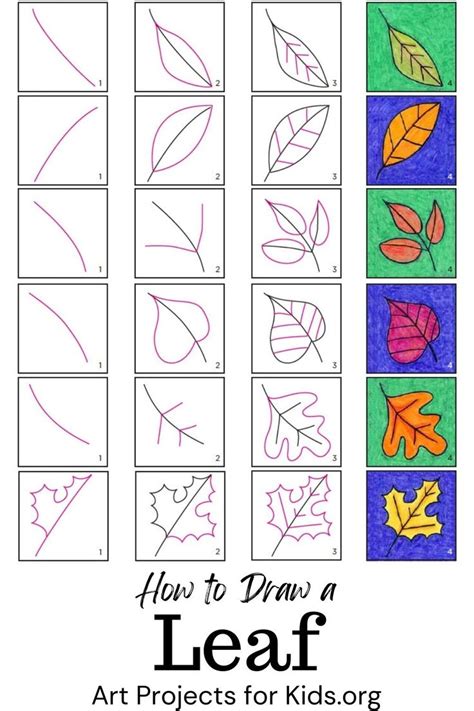 6 Easy How To Draw A Leaf Tutorial With Leaf Drawing Video And Coloring Page Leaf Drawing