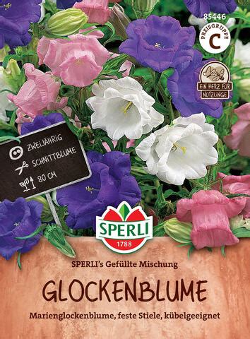 Wiesen Glockenblume Pflanzen Und Pflegen Mein Schöner Garten
