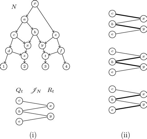 I A Tree Based Network N And Its Bipartite Graph Download Scientific Diagram