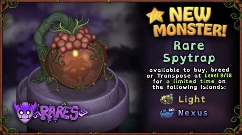 Msm 48 Showcase Summary Fandom