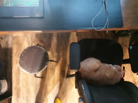 Andrew Nikishaev Ua On Linkedin What Is Love