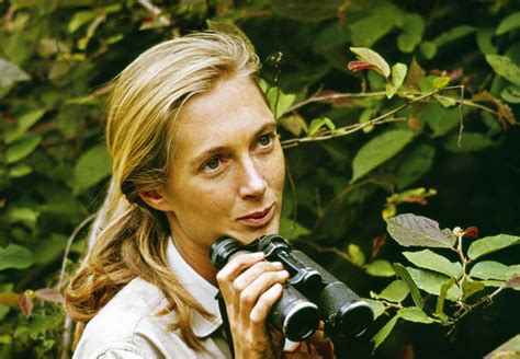 Jane Goodall World Famous Conservationist Dies Aged 91