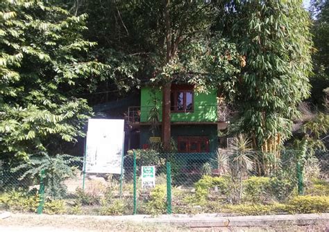 ලක්මව් අභිමන් ගහට කොළට ආදරය කරන අයට කෑගලු කුරුලු කැලේ