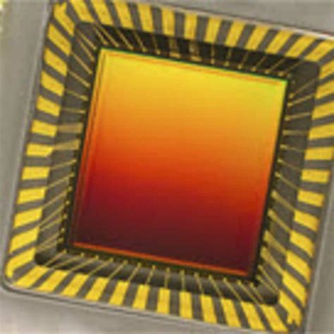 Best Raspberry Pi Courses And Certifications 2022 Coursera