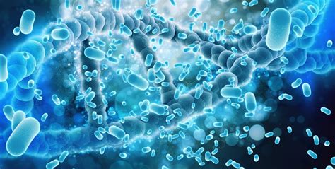 Our Bioinformatics Services Genespectrum Life Sciences
