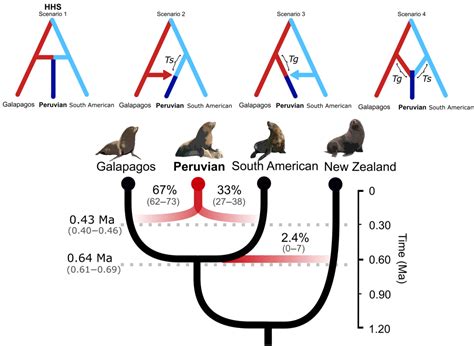 Detecting Hybrid Speciation With Genomic Data Avian Hybrids