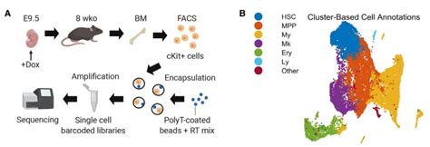 Cell新技术 双管齐下：细胞谱系追踪与单细胞表达谱 知乎