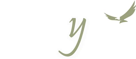 safran unveils ace embedded ai system at eurosatory 2024 partyard defense