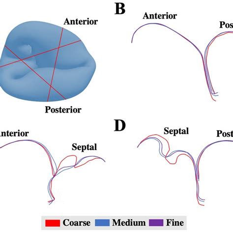 Mitral Valve Closing Profiles A Location At Which The Slices Were Download Scientific
