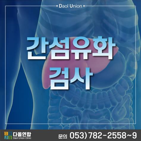 [범물동 다올연합] 침묵의 장기 간 간 섬유화 검사 만성피로 음주 ·치료도 한번에 다올하세요 네이버 블로그