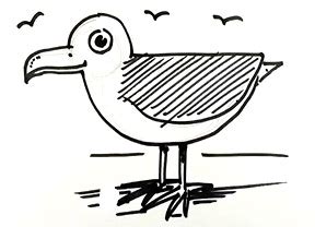 How To Draw A Seagull Shoo Rayner