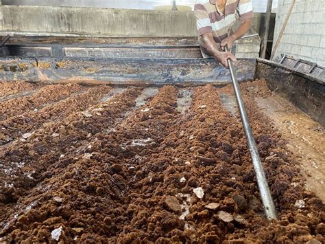 In The Traditional And Natural Process Of Processing Brown Sugar
