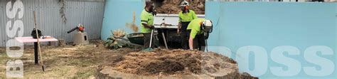 Northern Adelaide Tree Stump Services Adelaide Tree Removal Stump Removal