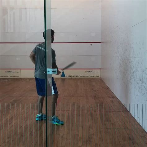 Squash Black Ball Dataset Object Detection Dataset And Pre Trained Model By Weone