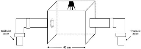 Optimizing A Dual Choice Cube Olfactometer Design For Measuring Adult