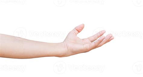 Male Hand Gestures Isolated 10870055 Png