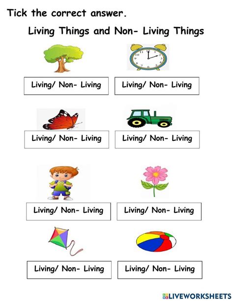 Online Living And Non Living Things Exercise For Kg2 Kindergarten Reading Activities