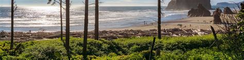 Top Beach Hotels In Ocean Park Wa From 80