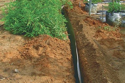 HDPE Root Barrier For Road Safety Feature Break Resistance Crack Proof Durable At Rs 30 In