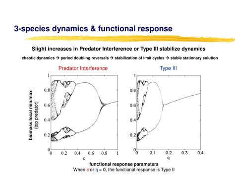 Ppt Modeling Food Web Dynamics Powerpoint Presentation Free Download Id4168775