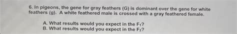Solved 3 In Drosophila Prune Pn Is A Sex Linked
