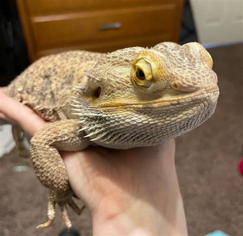 The Angels Den On Tumblr