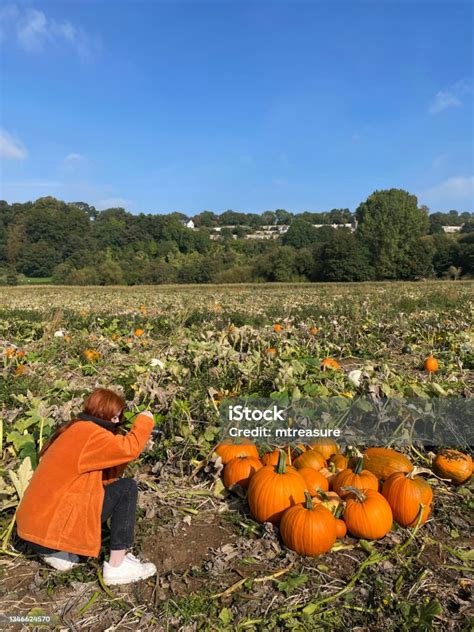 디지털 Slr 카메라가 있는 빨간 머리의 여성 사진작가의 이미지는 진흙투성이 잘 익은 오렌지 호박 햇볕이 잘 드는 날의 푸른 하늘 전경에 초점을 맞추고 있습니다 18 19