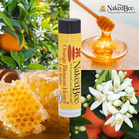The Naked Bee Organic Orange Blossom Honey Lip Balms 3 Packgreen