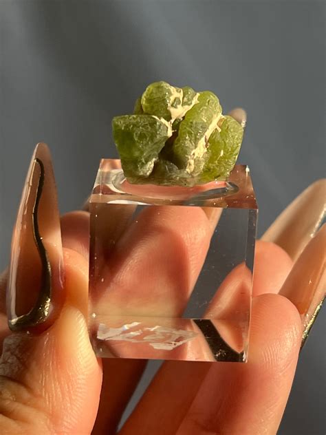 Small Peridot Clusters The Jungle Gem