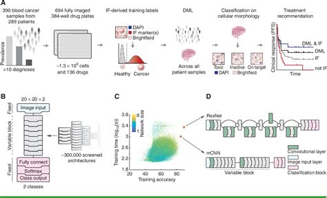 Figure 1 From Deep Morphology Learning Enhances Ex Vivo Drug Profiling