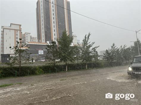 Улаанбаатарт аадар бороо орно