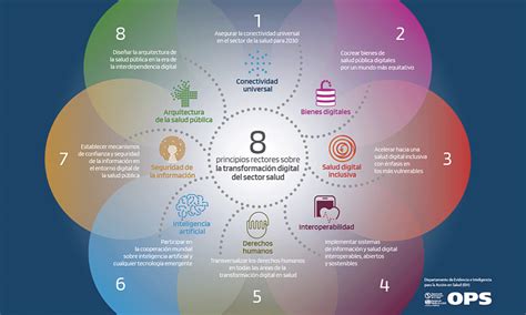 Ocho Principios Para La Transformación Digital Del Sector Salud Amiif