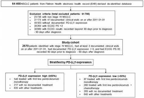 CONSORT diagram ECOG PS ¼ Eastern Cooperative Oncology Group Download Scientific Diagram
