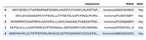 Sequence Classification Machine Learning Tpoint Tech