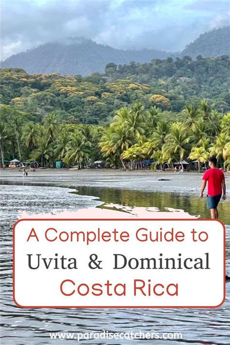44 Things To Do In Uvita Dominical Ojochal Costa Rica Costa Rica