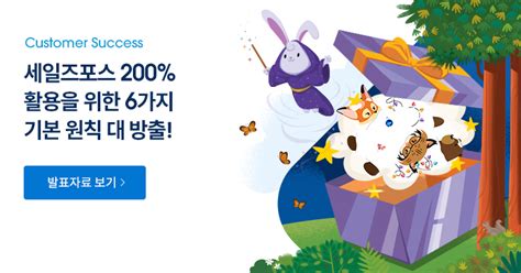 Customer Success 세일즈포스 200 활용을 위한 6가지 기본 원칙 대 방출 세일즈포스 Salesforce