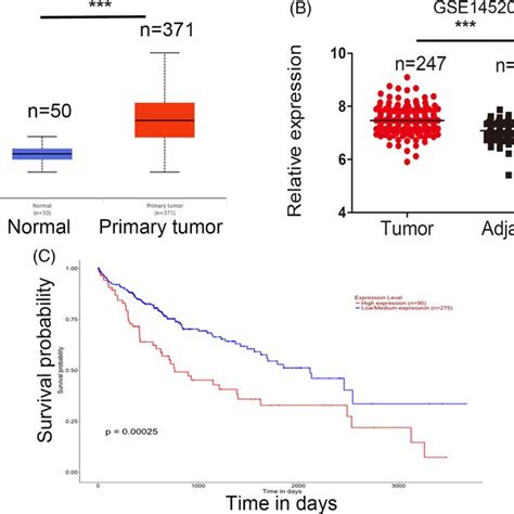 Overexpression Of Adrm1 Evaluated Using Tcga And Geo Datasets A