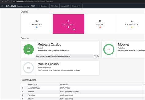 oracle sql developer web 20 4 and autorest