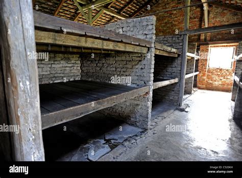 Concentration Camp Bunks
